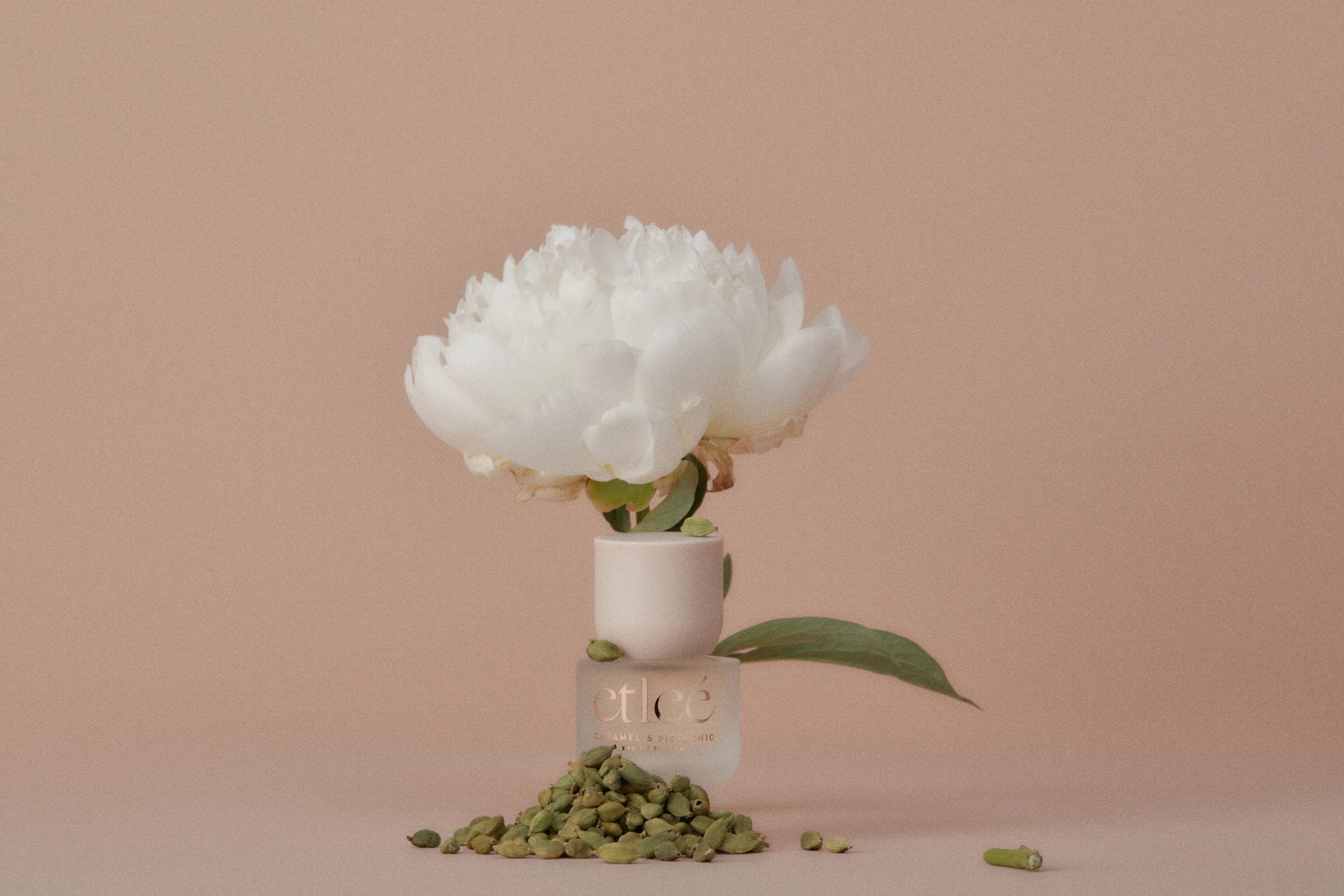 BLEND COLLECTION – Etlee